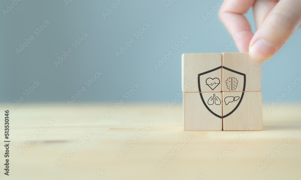 Internal organ protection. Critical illness insurance. Protection ...