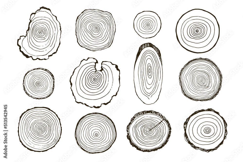 Tree rings vector illustrations set Stock Vector | Adobe Stock
