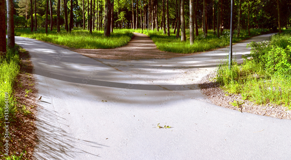Divergence of the path in three directions. An asphalt alley in the ...