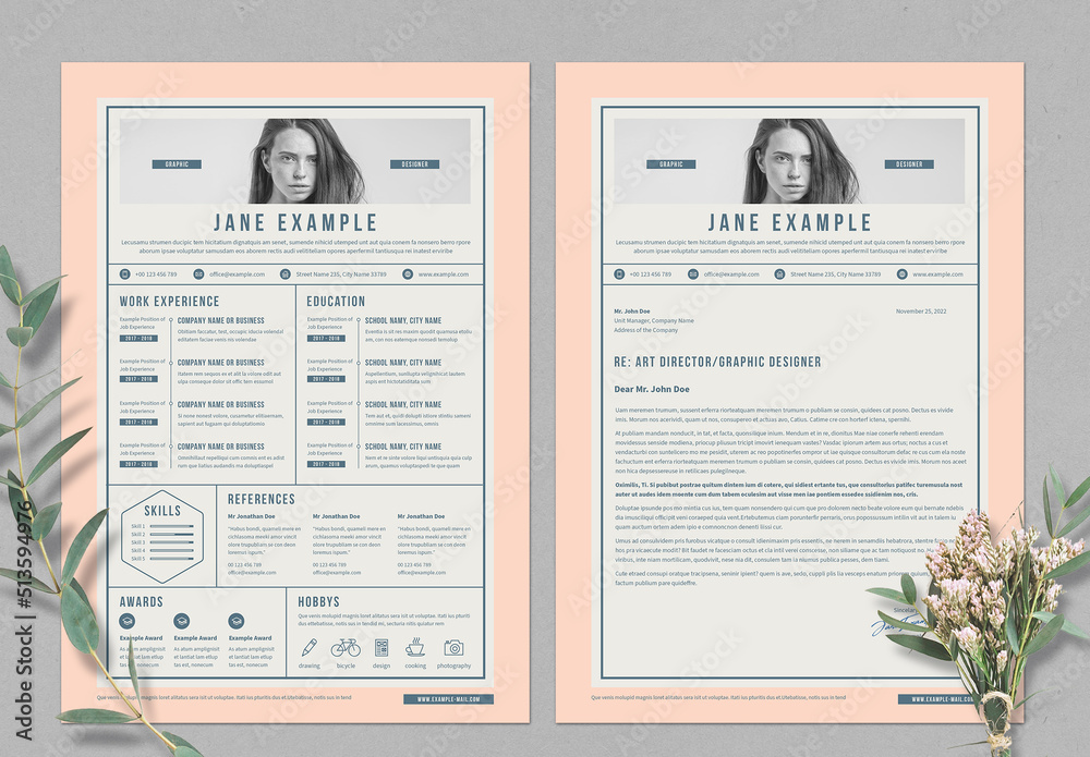 Resume and CV Layout in Tabular Layout in Blue and Peach Colors Stock ...