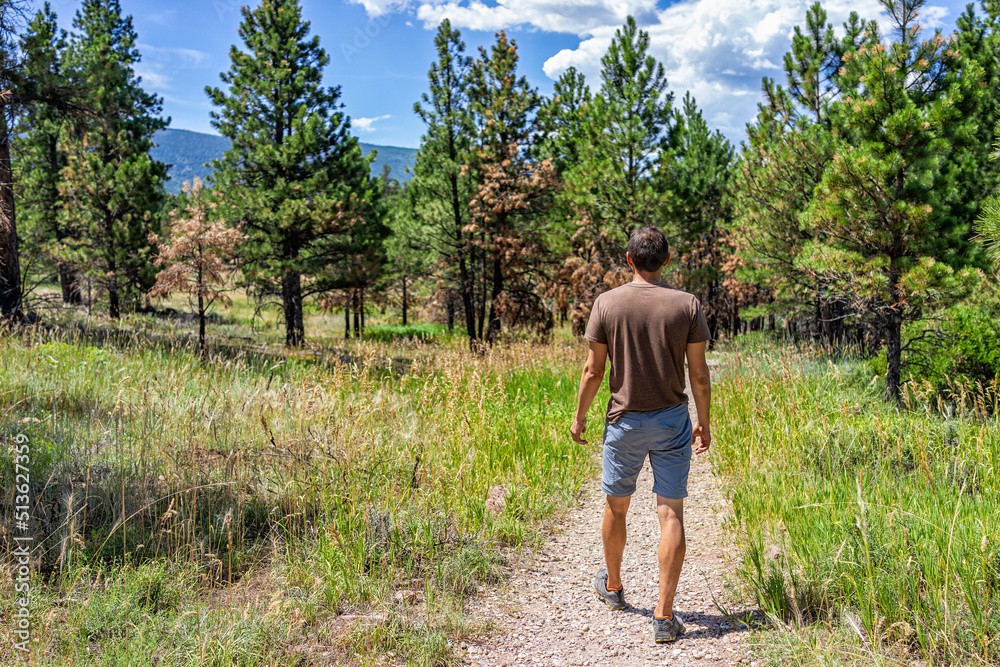 Dutch John, USA Flaming Gorge recreation area in summer in Utah ...