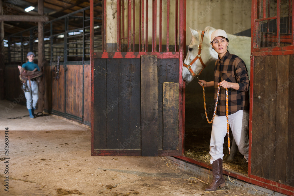 Positive Asian female rancher leading white horse out of stall in ...