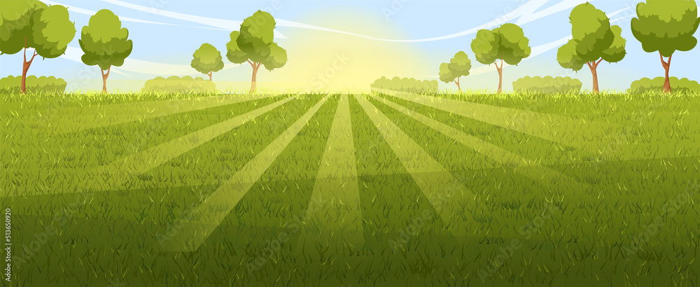 lawn background landscape vector. green field, spring grass, summer ...