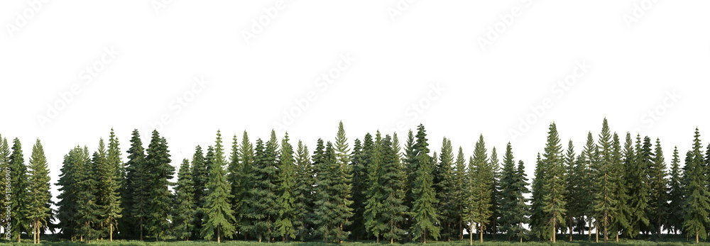 3d render forest line with white background Stock Illustration | Adobe ...