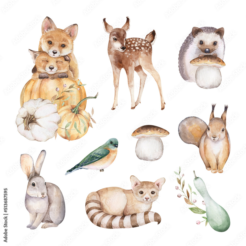 Photo & Art Print Woodland animals and fall compositions clipart set ...
