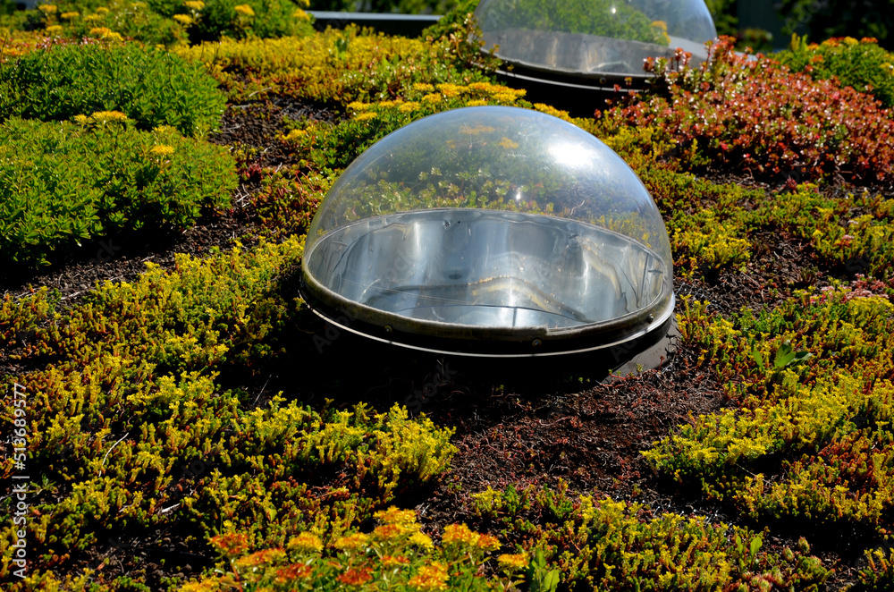 design skylights. But there are also classic dome or flat skylights ...