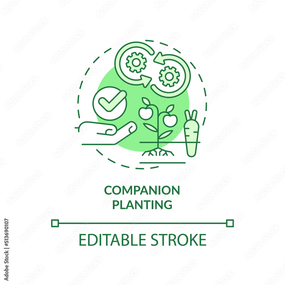 Companion planting green concept icon. Planting different crops ...