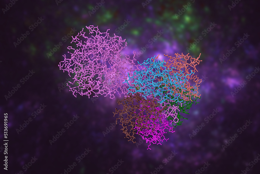 Shiga toxin produced by bacteria Shigella dysenteriae, which cause ...