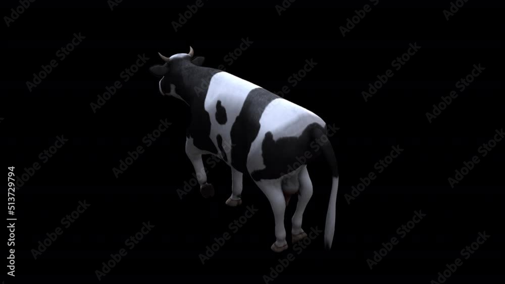 Cow Walk From View Top Angle Back, Animation.Full HD 1920×1080. 04 ...