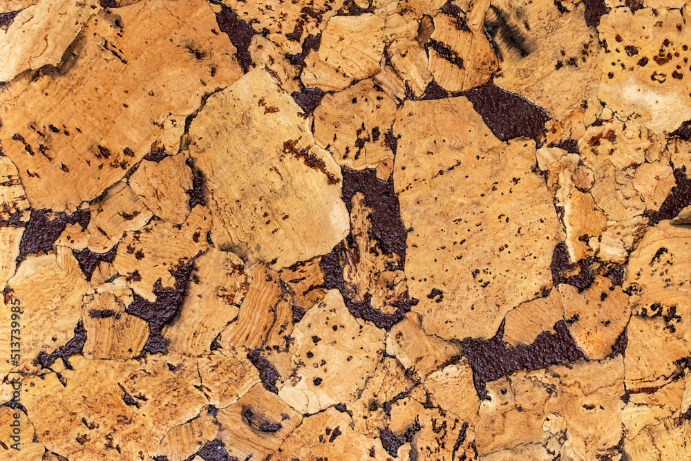 Beautiful natural texture of cork tree with decorative painted streaks ...