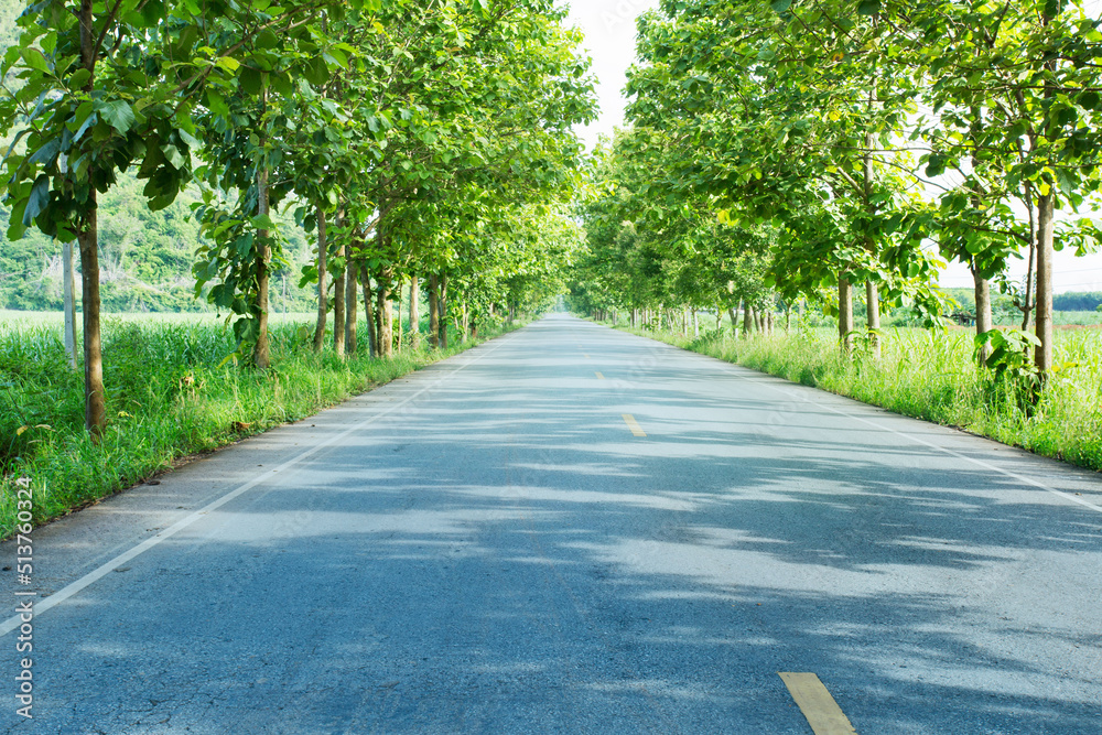 Both sides of the road are planted with street trees. concept clean ...
