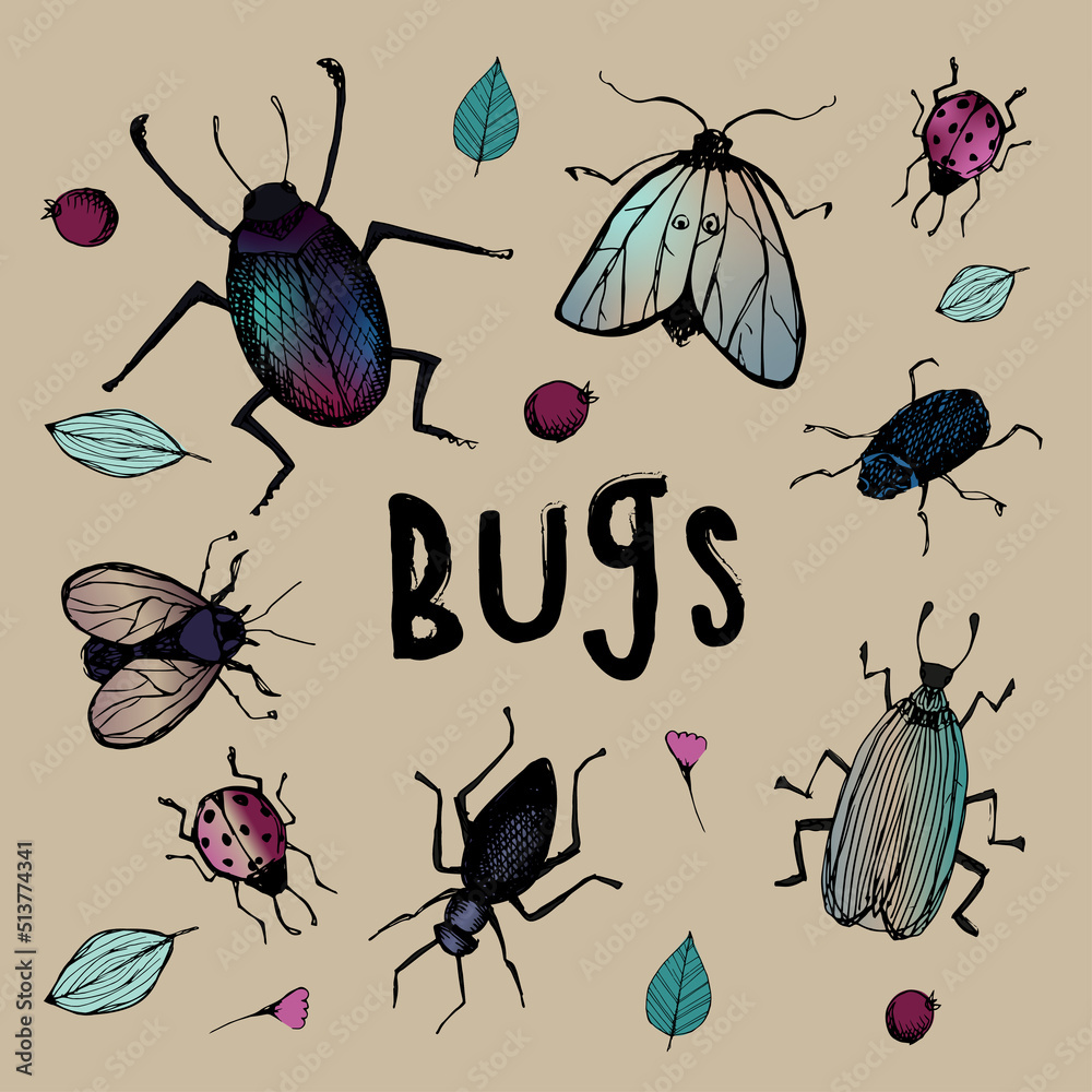 Vector background with hand-drawn illustrations of insects. Drawing fly ...