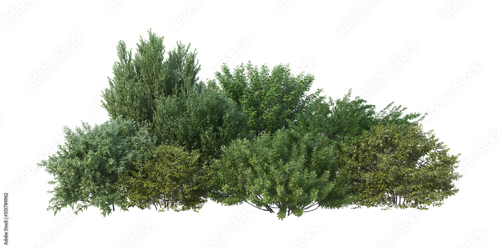 3d render shrub with white background Stock Illustration | Adobe Stock