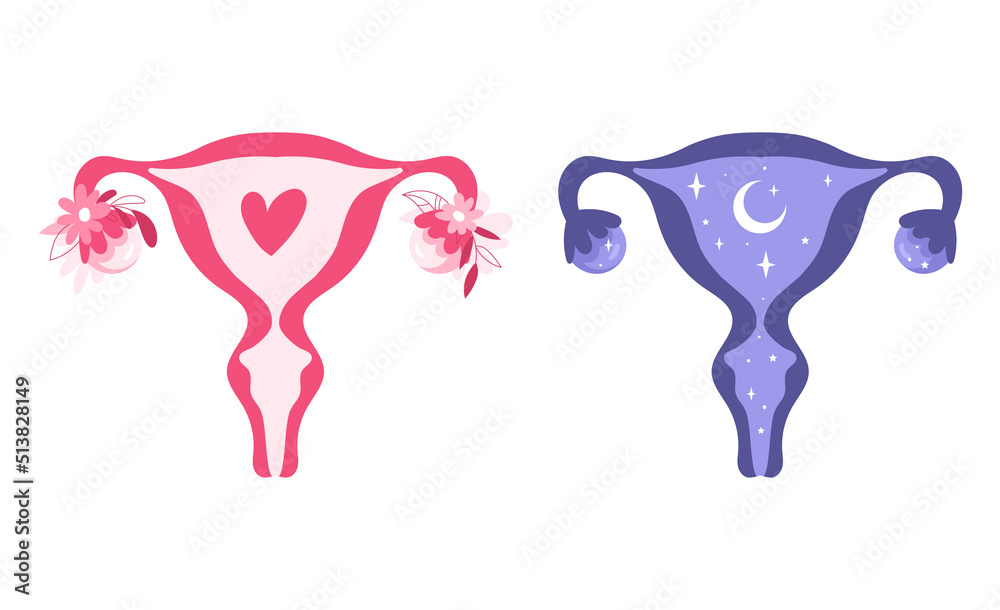 Menopause anatomical changes. Comparison of female reproductive system ...