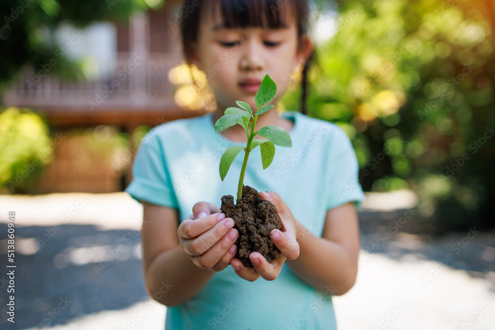 kid planting a tree for help to prevent global warming or climate ...