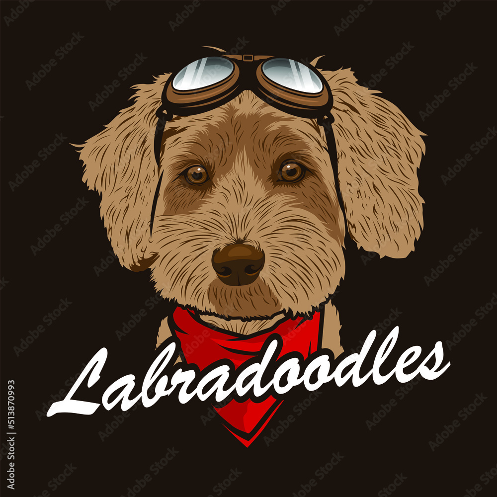 Labradoodles design vector, dog and pet shop logo, Design element for ...