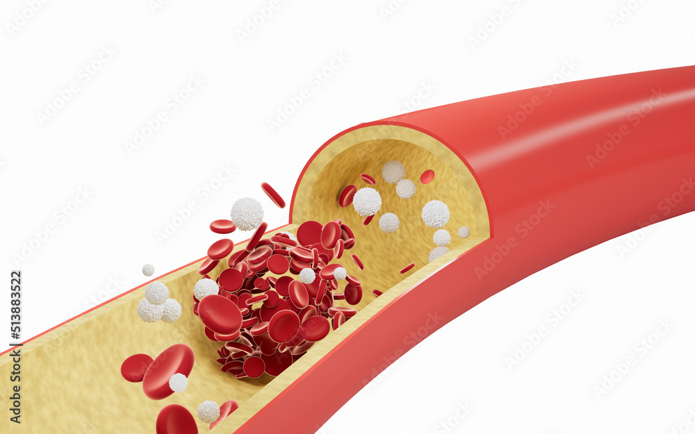 Red and white blood cells in blood vessels, 3d rendering. Stock ...