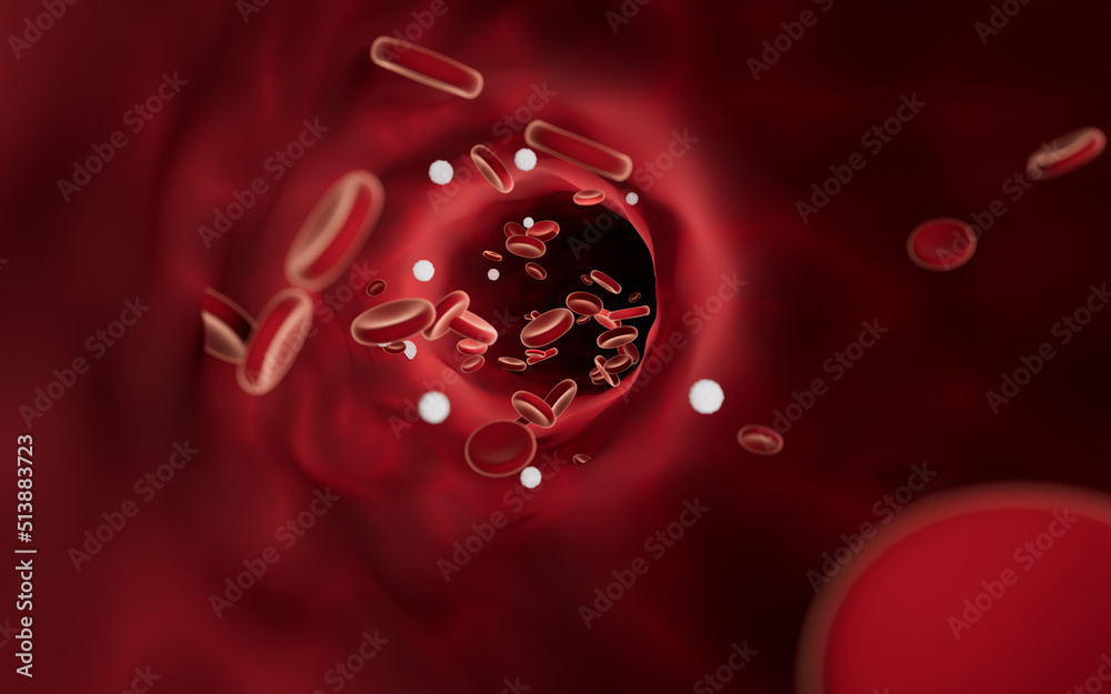 Red and white blood cells in blood vessels, 3d rendering. Stock ...
