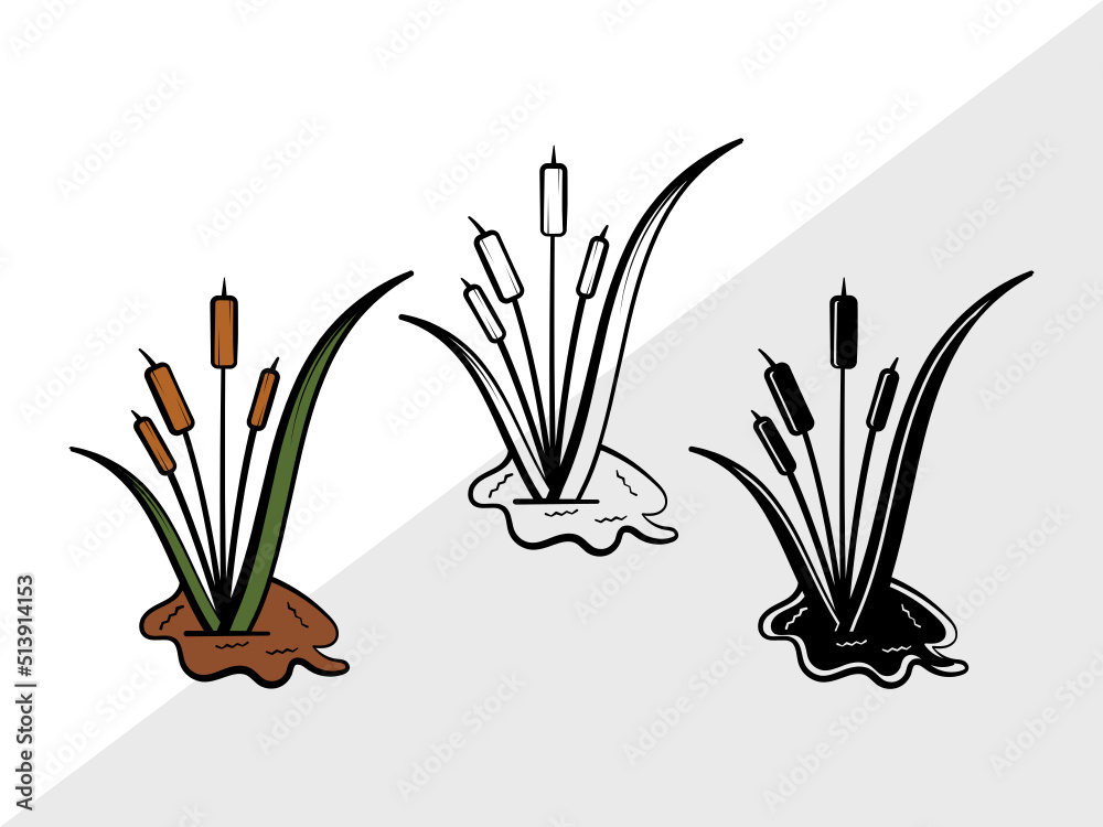 Cattail SVG | Bulrush Plant Svg | Cattail Flower Svg | Grass Svg ...