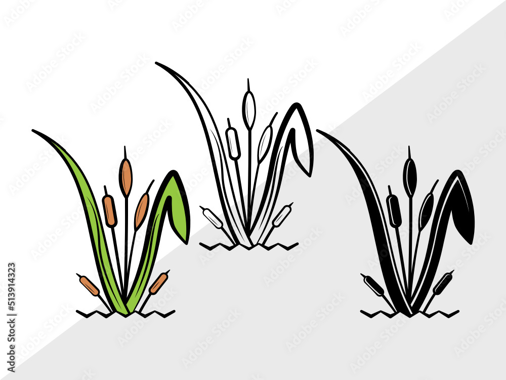 Vetor do Stock: Cattail SVG | Bulrush Plant Svg | Cattail Flower Svg ...