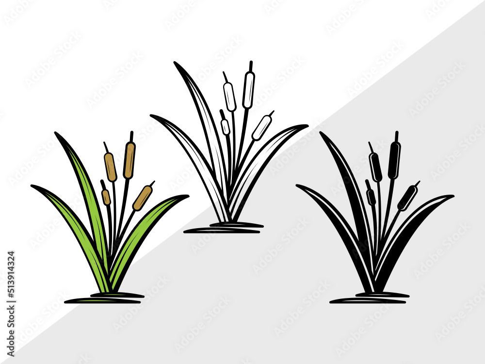 Cattail SVG | Bulrush Plant Svg | Cattail Flower Svg | Grass Svg ...