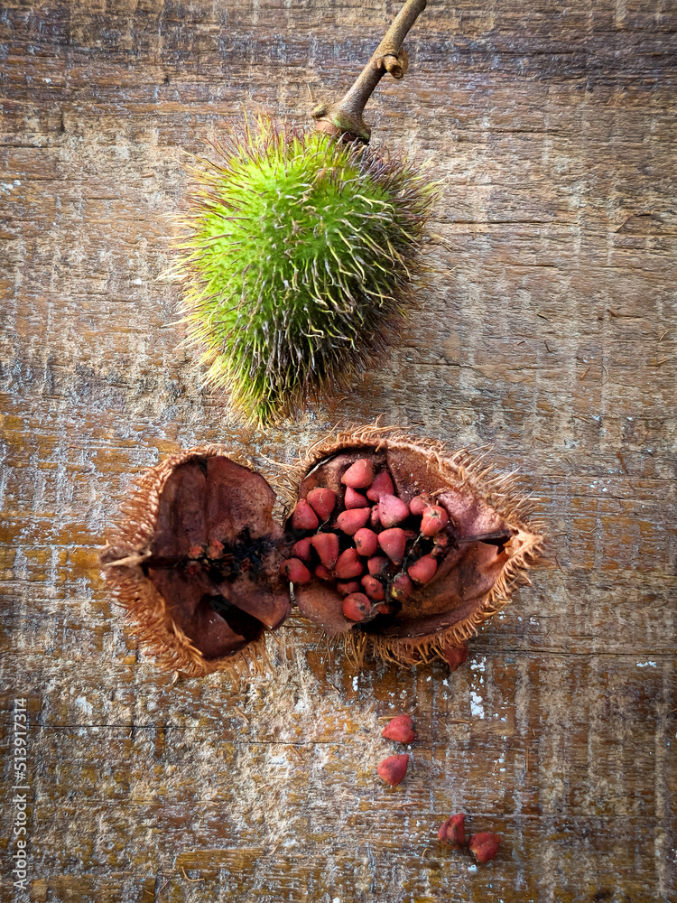 Brazilian Urucum Annatto Seeds on rustic background. Centered Open ...