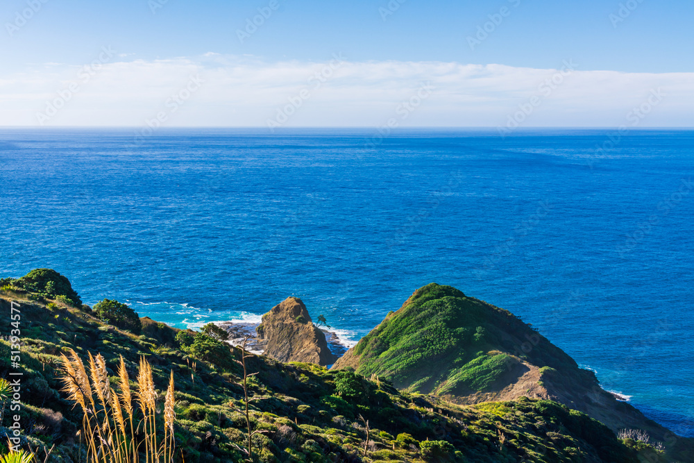Te Reinga, a rocky point jutting out to the sea, and the ancient kahika ...