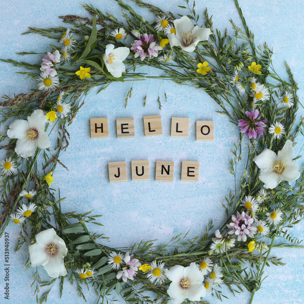 blue background with flowers frame and text. hello june Stock Photo ...