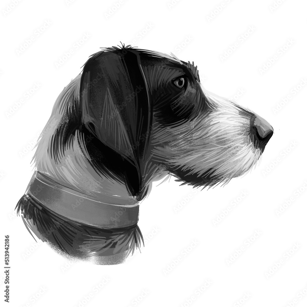 Griffon Bleu de Gascogne dog digital art illustration isolated on white ...
