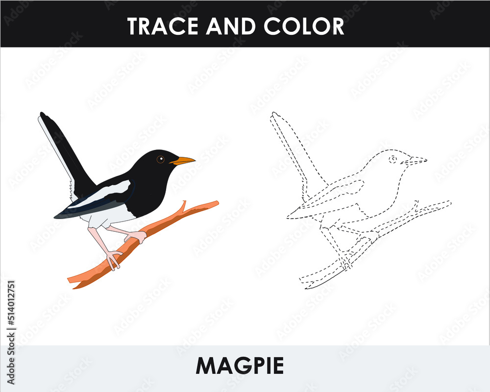 Hand drew magpie outline illustration trace and color Stock Vector ...