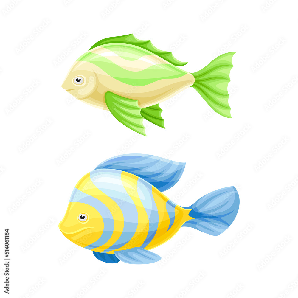 Colorful Fish as Aquatic Gill-bearing Animal with Fin and Tail Vector ...