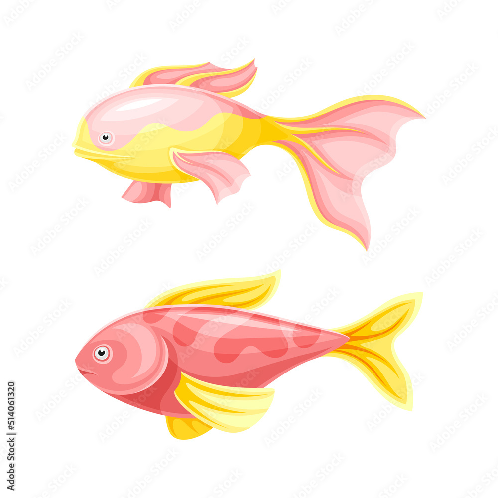 Colorful Fish as Aquatic Gill-bearing Animal with Fin and Tail Vector ...