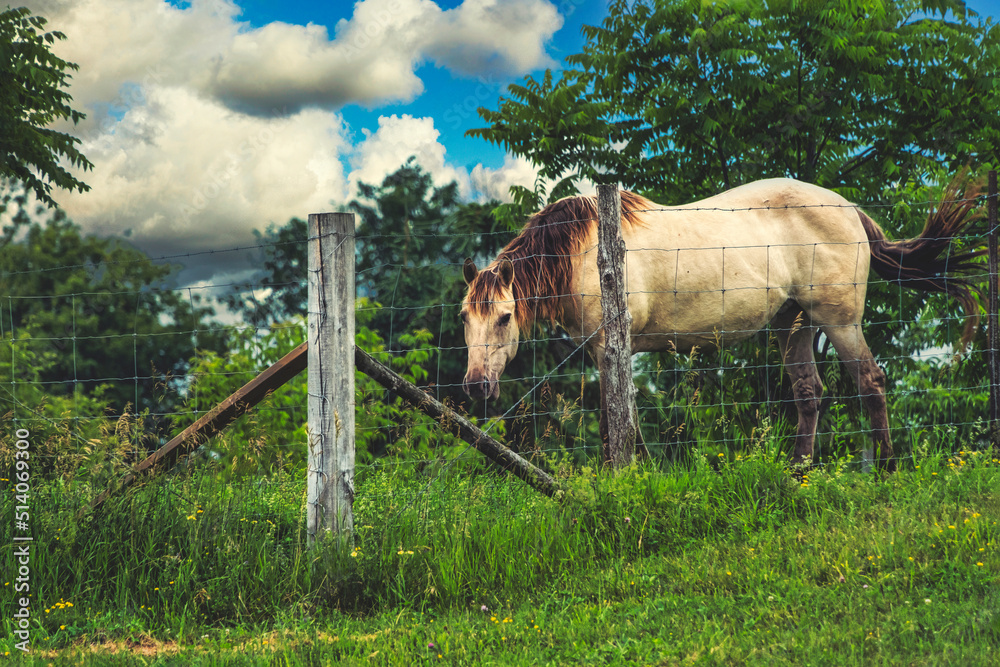 Stunning photos of forest and a lake scenic nature landscapes from ...