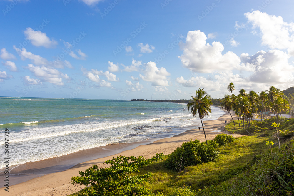 Praia tropical com o céu azul ideal para relaxar e desfrutar desse ...
