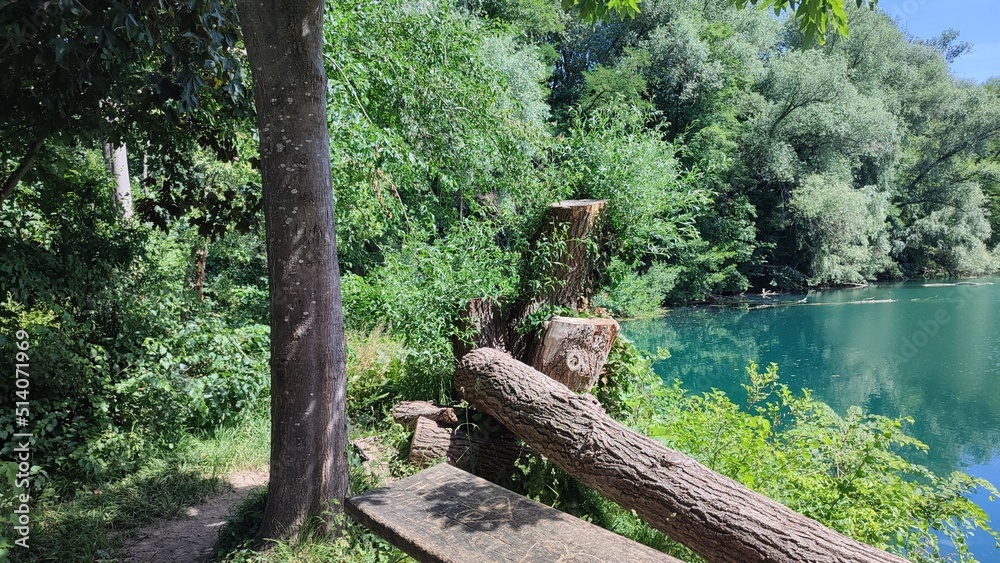 Baggersee in Deutschland im Sommer Wald Stock Photo | Adobe Stock