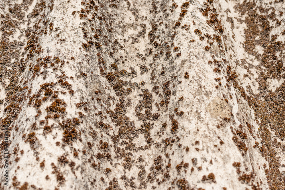 Old dangerous asbestos roof. Asbestos dust in the environment. Health ...