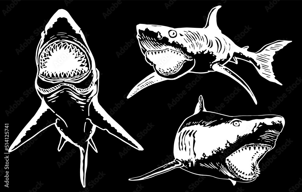 Graphical set of sharks and jaws isolated on black background,vector ...