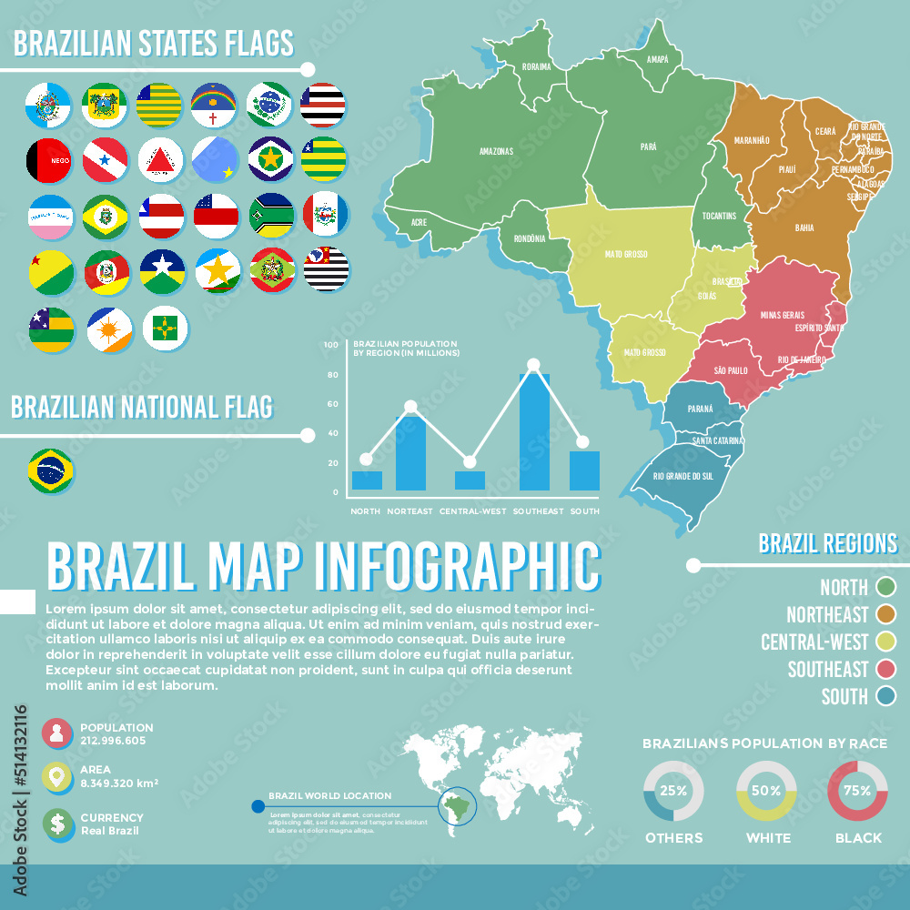 Brazil Infographic with all brazilian states and national flag icons ...