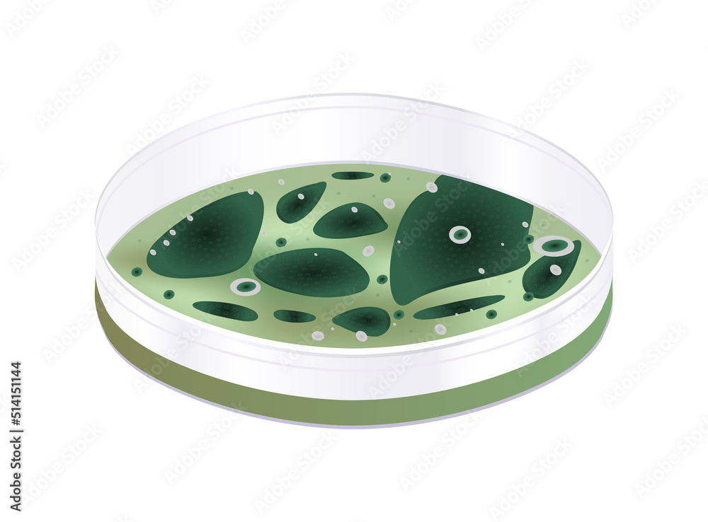 Vector illustration of the petri dish with green mold colonies isolated ...
