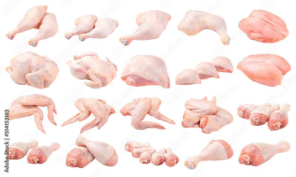 Isolated whole raw chicken parts collage on white background Stock ...