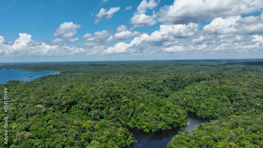 Amazon River at Amazon Forest. The famous tropical forest of world ...