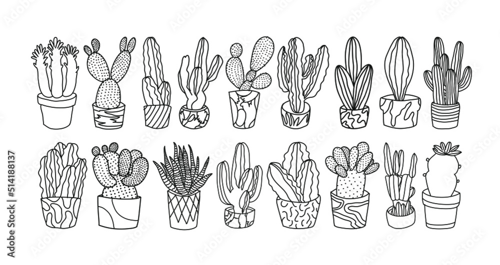 Collection of cactus illustrations in vector. Line drawing of plants in ...