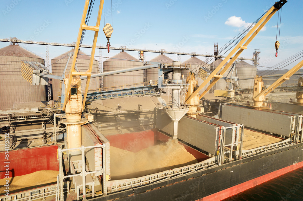 Loading grain into holds of sea cargo vessel through an automatic line ...