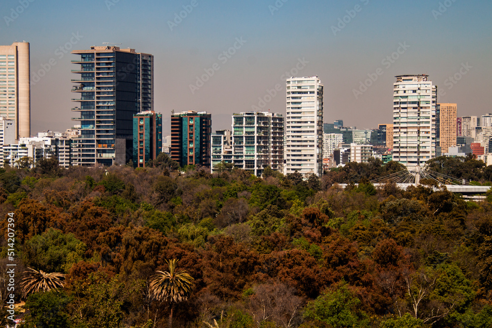 Panoramic view of Mexico City. Lush green forest trees and downtown ...