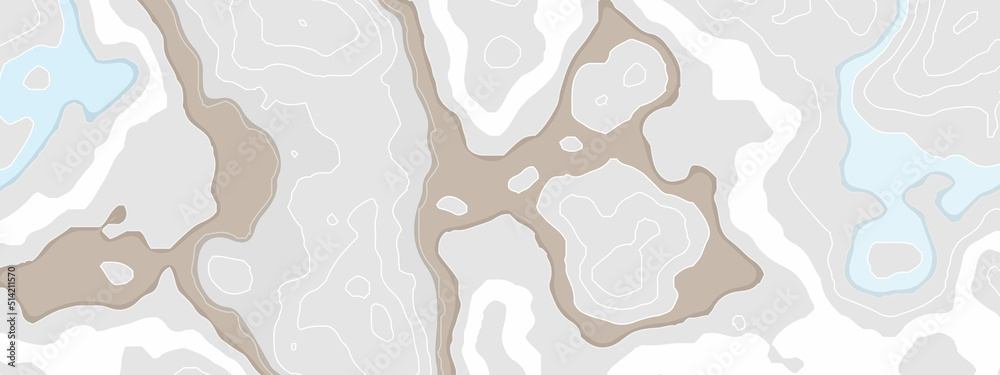 The stylized height of the topographic map in contour, lines. Torn ...