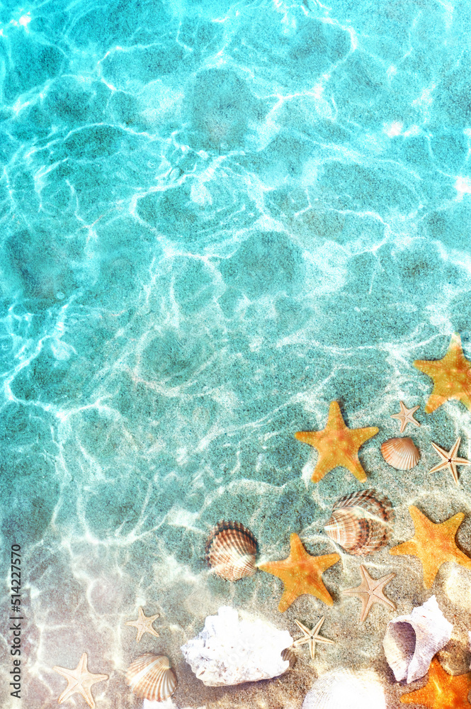Starfish and seashells on the summer beach in sea water. Summer blue ...
