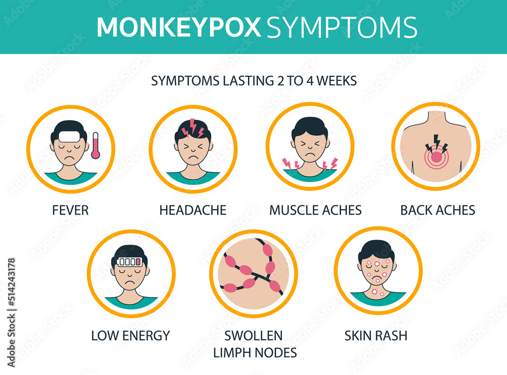 Monkeypox virus outbreak symptoms infographics world health ...
