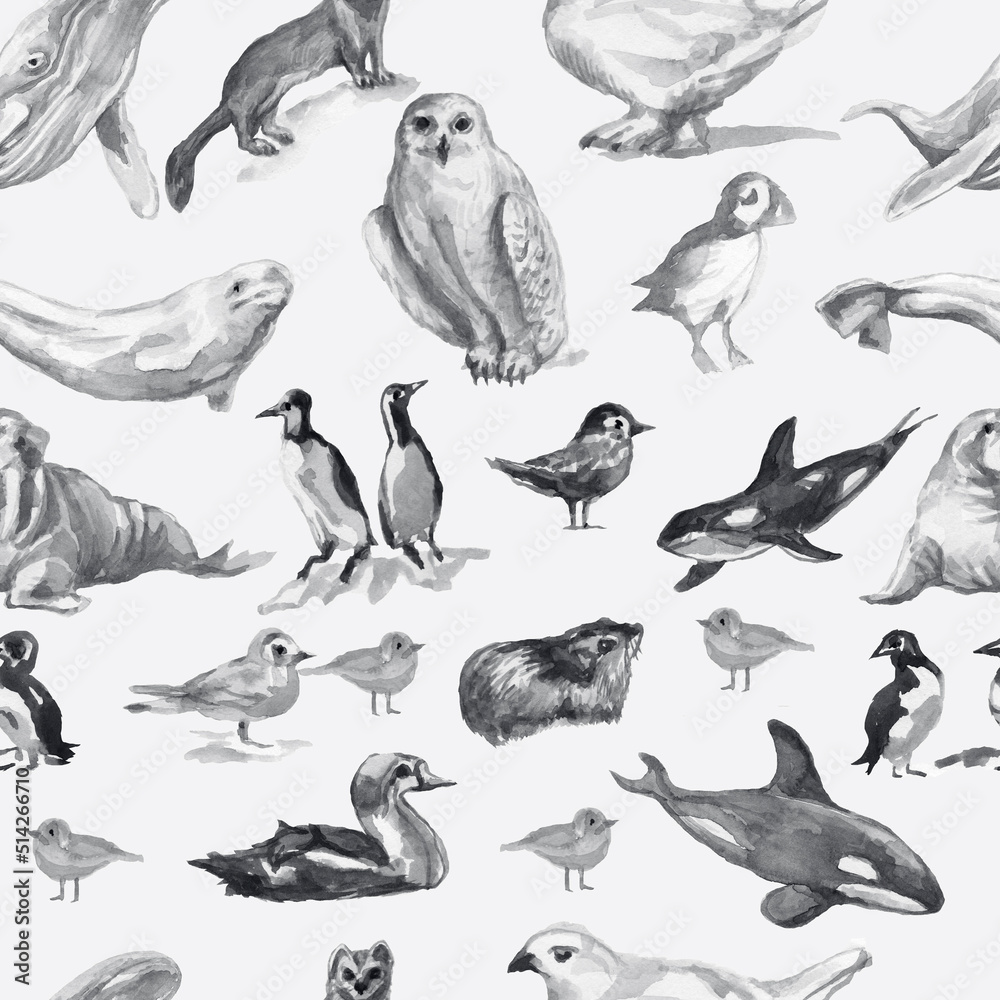 Animals Antarctica birds whales fish watercolor illustration hand drawn ...