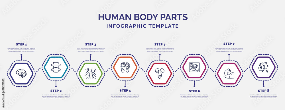 infographic template with icons and 8 options or steps. infographic for ...