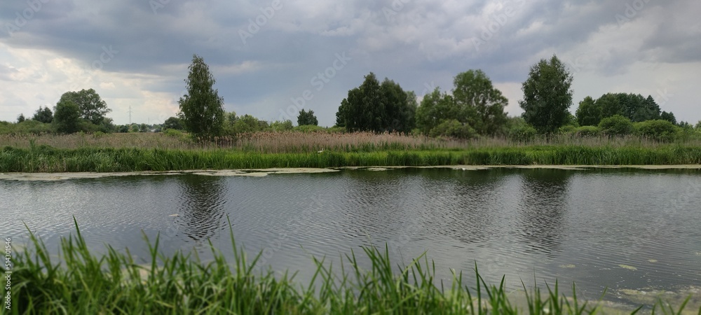 Green field with tall grass and trees on a blue lake. Countryside ...
